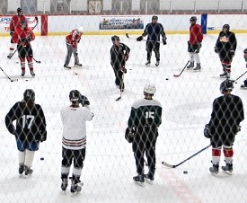 instructional | FMC Ice Sports
